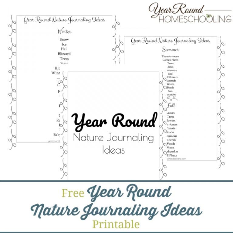 Year Round Nature Journaling Ideas + Free Printable - Year Round ...