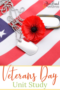 Veterans Day Unit Study - Year Round Homeschooling