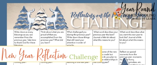 New Year Reflection Challenge - Year Round Homeschooling