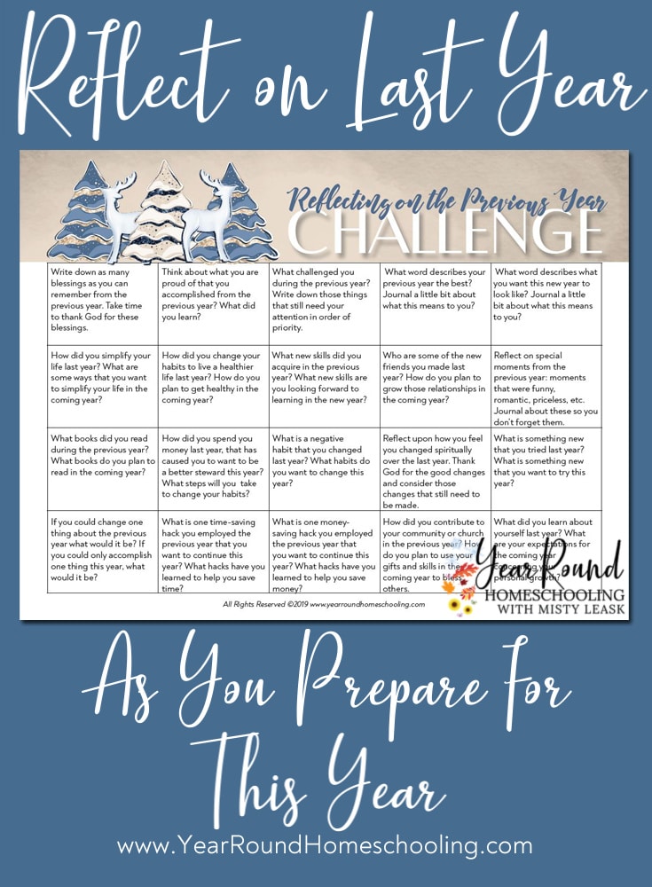 January Reflection Challenge Calendar - Year Round Homeschooling