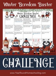 Winter Boredom Buster Challenge - Year Round Homeschooling