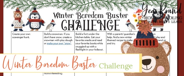 Winter Boredom Buster Challenge - Year Round Homeschooling