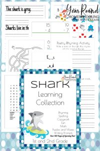 1st-2nd Grade Shark Learning Collection - Year Round Homeschooling