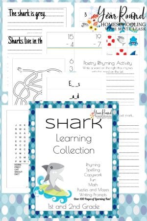 1st-2nd Grade Shark Learning Collection - Year Round Homeschooling