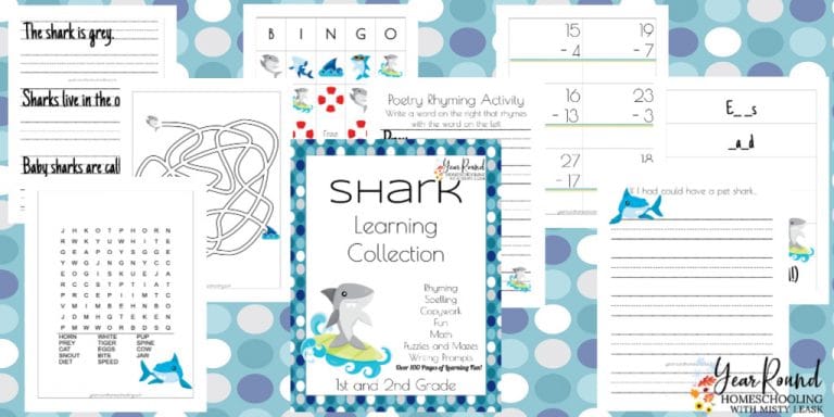 1st-2nd Shark Learning Collection - By Year Round Homeschooling - Year ...