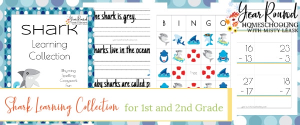 1st-2nd Grade Shark Learning Collection - Year Round Homeschooling