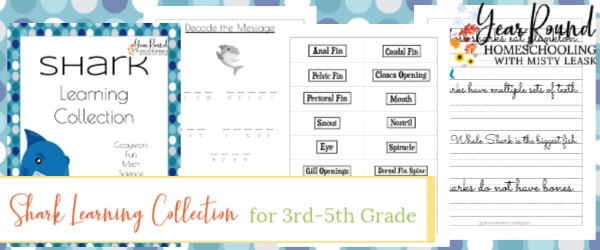 3rd-5th Grade Shark Learning Collection - Year Round Homeschooling