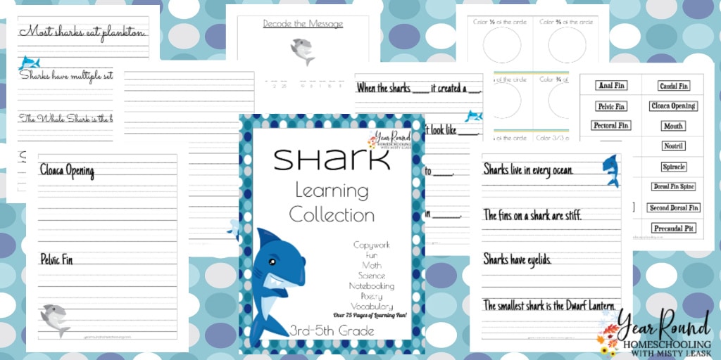 Shark Learning Collections - Year Round Homeschooling