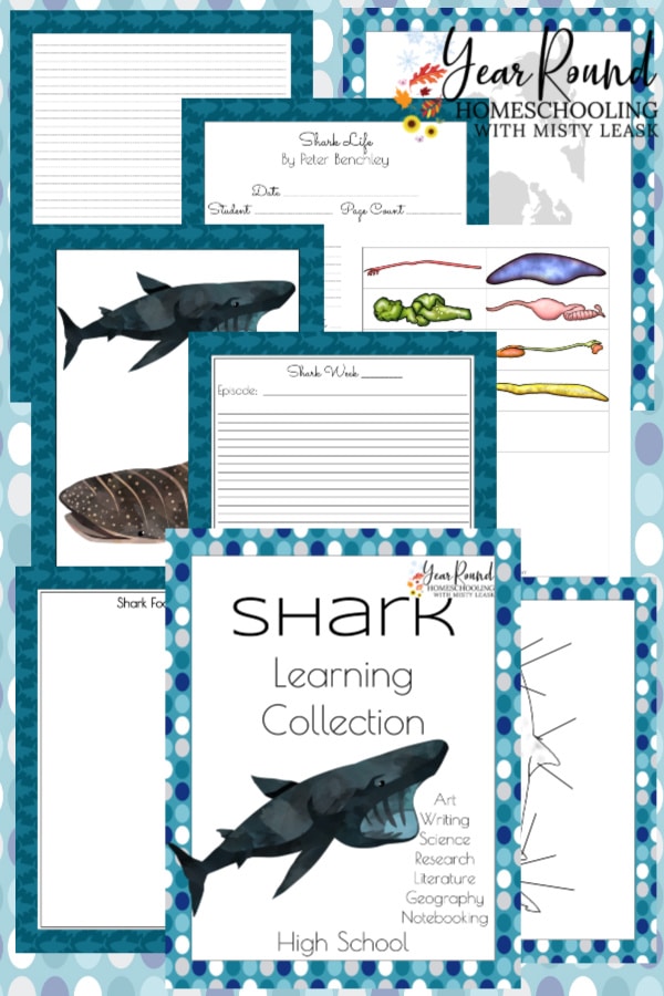 High School Shark Learning Collection - Year Round Homeschooling