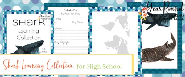 High School Shark Learning Collection - Year Round Homeschooling