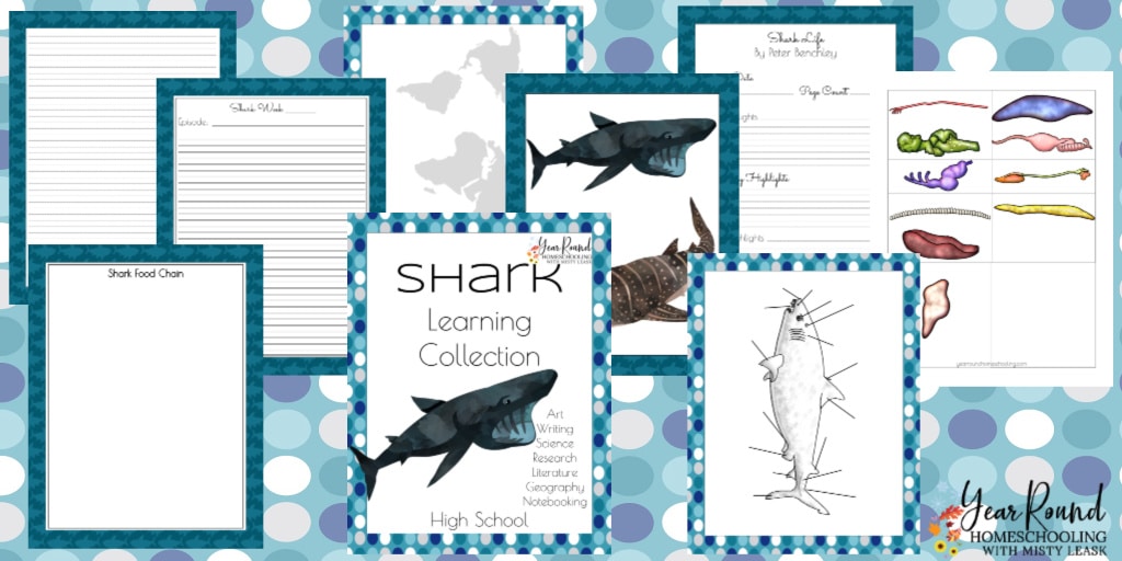 High School Shark Learning Collection - By Year Round Homeschooling ...