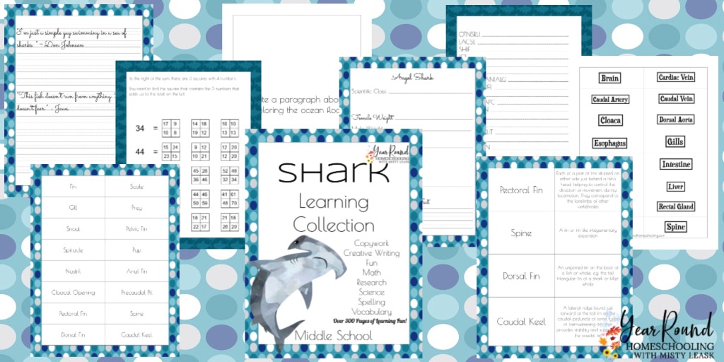 Shark Learning Collections - Year Round Homeschooling