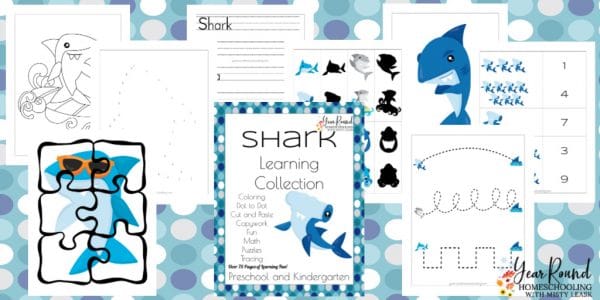 Shark Learning Collections - Year Round Homeschooling