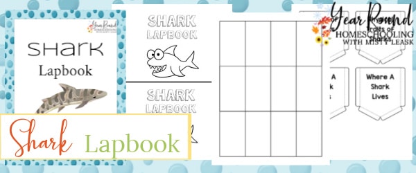 Shark Lapbook - Year Round Homeschooling