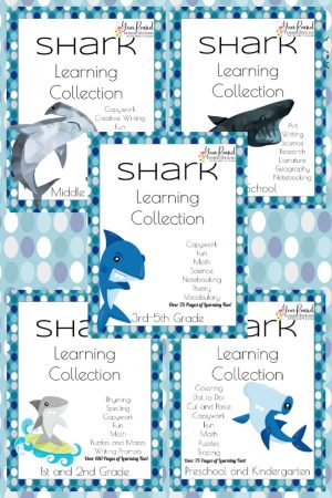 Shark Learning Collections - Year Round Homeschooling