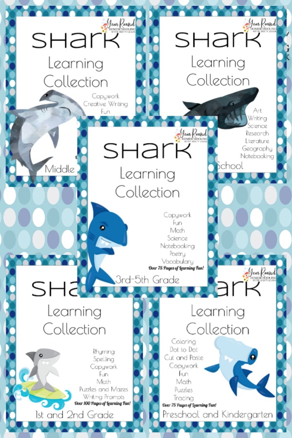 Shark Learning Collections - Year Round Homeschooling