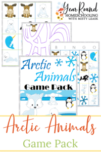 Arctic Animals Games Pack - Year Round Homeschooling