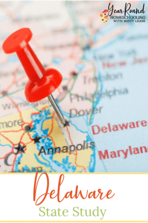 Delaware State Study - Year Round Homeschooling