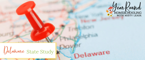 Delaware State Study - Year Round Homeschooling