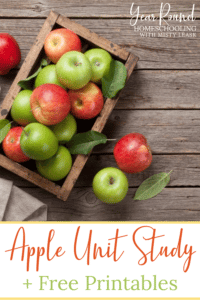 Apple Unit Study - Year Round Homeschooling