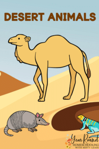 Desert Animal Worksheets - Year Round Homeschooling