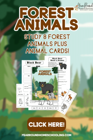 Forest Animals Study Pack - Year Round Homeschooling