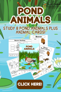 Pond Animals Study Pack - Year Round Homeschooling