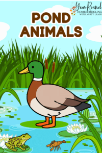 Pond Animals Study Pack - Year Round Homeschooling